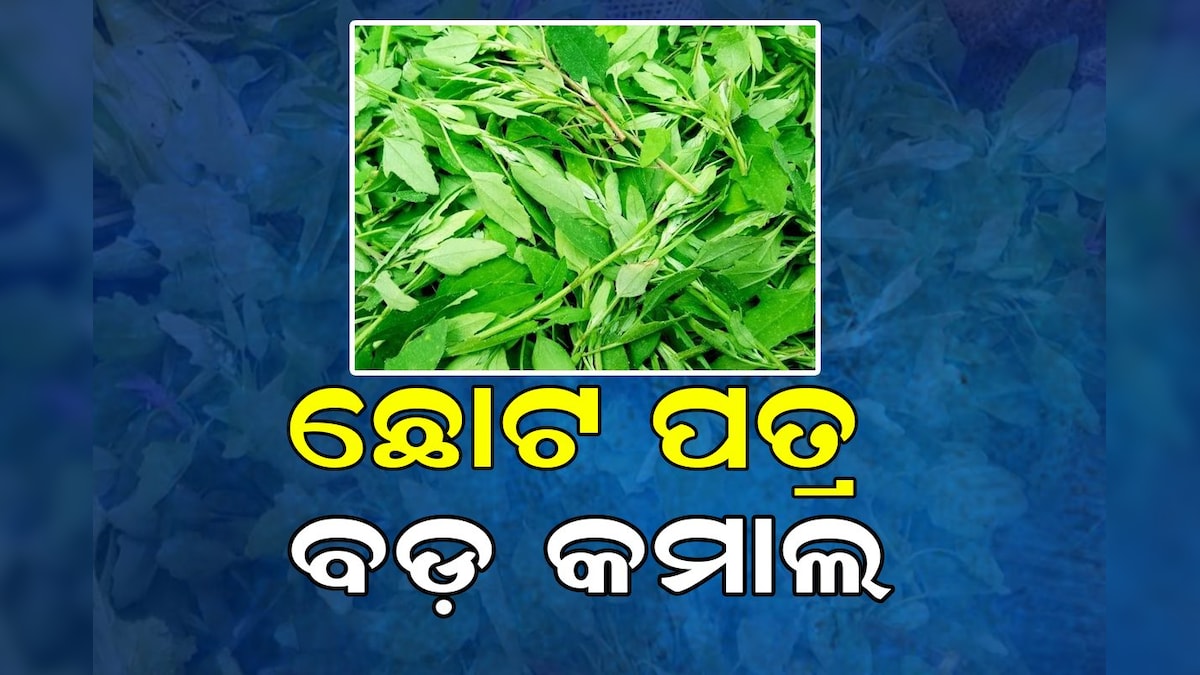 Bathua Saag Benefits: ଛୋଟ ପତ୍ର, ବଡ଼ କମାଲ...ଖାଆନ୍ତୁ ହ୍ରାସ ହେବ ଓଜନ, କମିବ ...