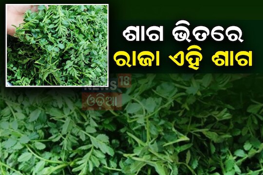 ଖାଆନ୍ତୁ ଏହି ଶସ୍ତା ଶାଗ ଭୁଲି ଯିବେ ପାଳଙ୍ଗ, ସୋରିଷ; ନିୟନ୍ତ୍ରଣରେ ରହିବ ଓଜନ ...