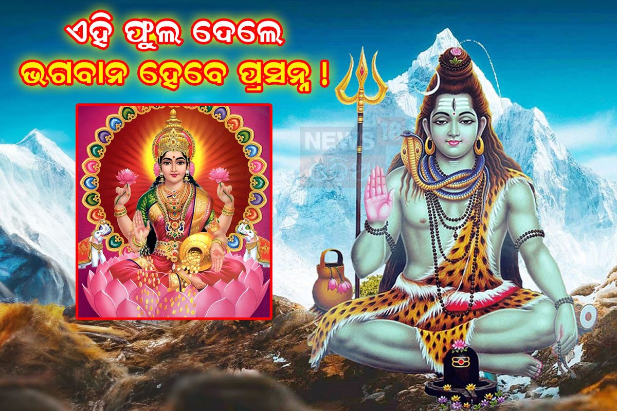 God Favorite Flower: ଫୁଲ ଦେଇ ଭଗବାନଙ୍କୁ କରନ୍ତୁ ଖୁସି: ବର୍ଷିବ ଧନ, ମିଳିବ ...