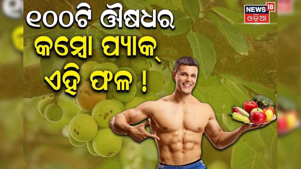 ଶହେରୁ ଅଧିକ ଔଷଧର କମ୍ୱୋ ପ୍ୟାକ୍ ହେଉଛି ଏହି ଗଛ! ହାଡ଼ ହେବ ଶକ୍ତ....ଅନେକ ଫାଇଦା ...