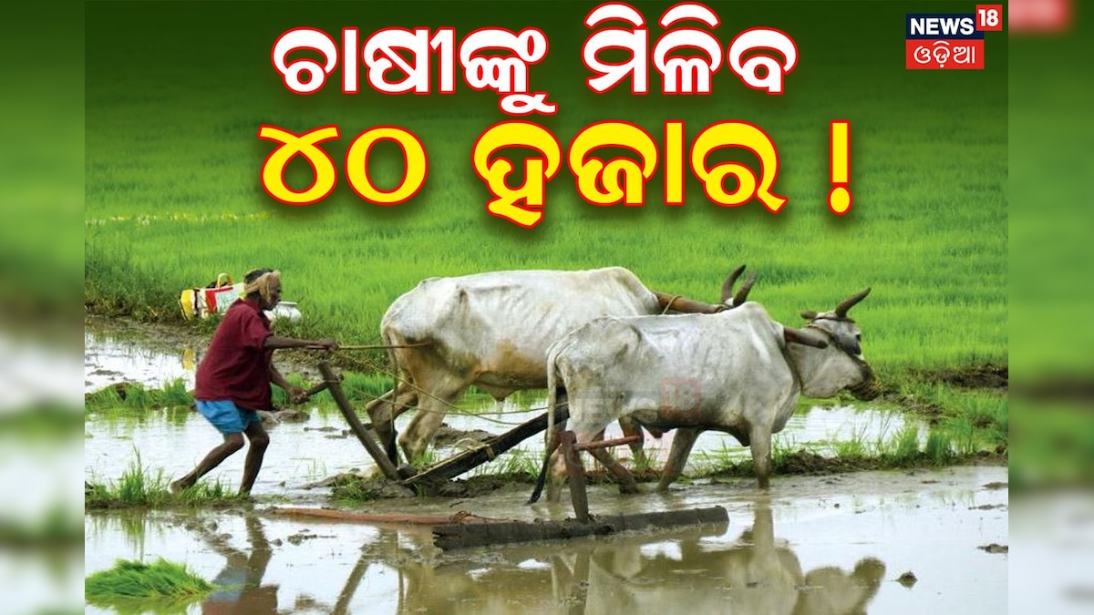 New Farmer Scheme: ଚାଷୀଙ୍କ ପାଇଁ ଖୁସି ଖବର, ଏମାନଙ୍କୁ ମିଳିବ ୪୦୦୦୦ ! New ...