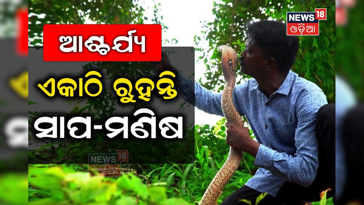 Snake Village: ଏକାଠି ରହନ୍ତି ସାପ-ମଣିଷ; ପରିବାର ସଦସ୍ୟଙ୍କ ଭଳି ଘରେ ରୁହନ୍ତି ...