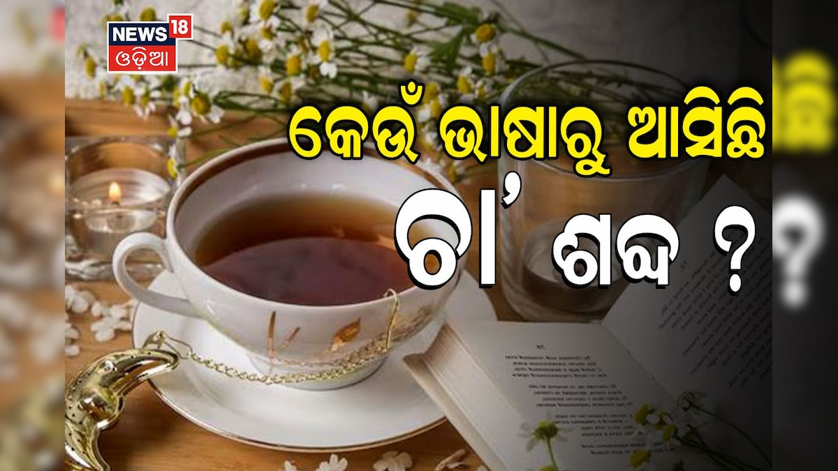 Chai Facts: କେଉଁ ଭାଷାରୁ ଆସିଛି ଚା' ଶବ୍ଦ? ଓଡ଼ିଆରେ ଏହାକୁ କଣ କୁହାଯାଏ ...