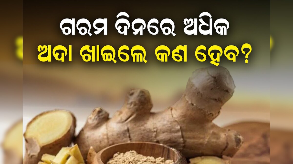 ଗରମ ଦିନରେ ଅଧିକ ଅଦା ଖାଇଲେ କଣ ହେବ? ମିଳିବ ଲାଭ ନା ହେବ କ୍ଷତି Disadvantages ...