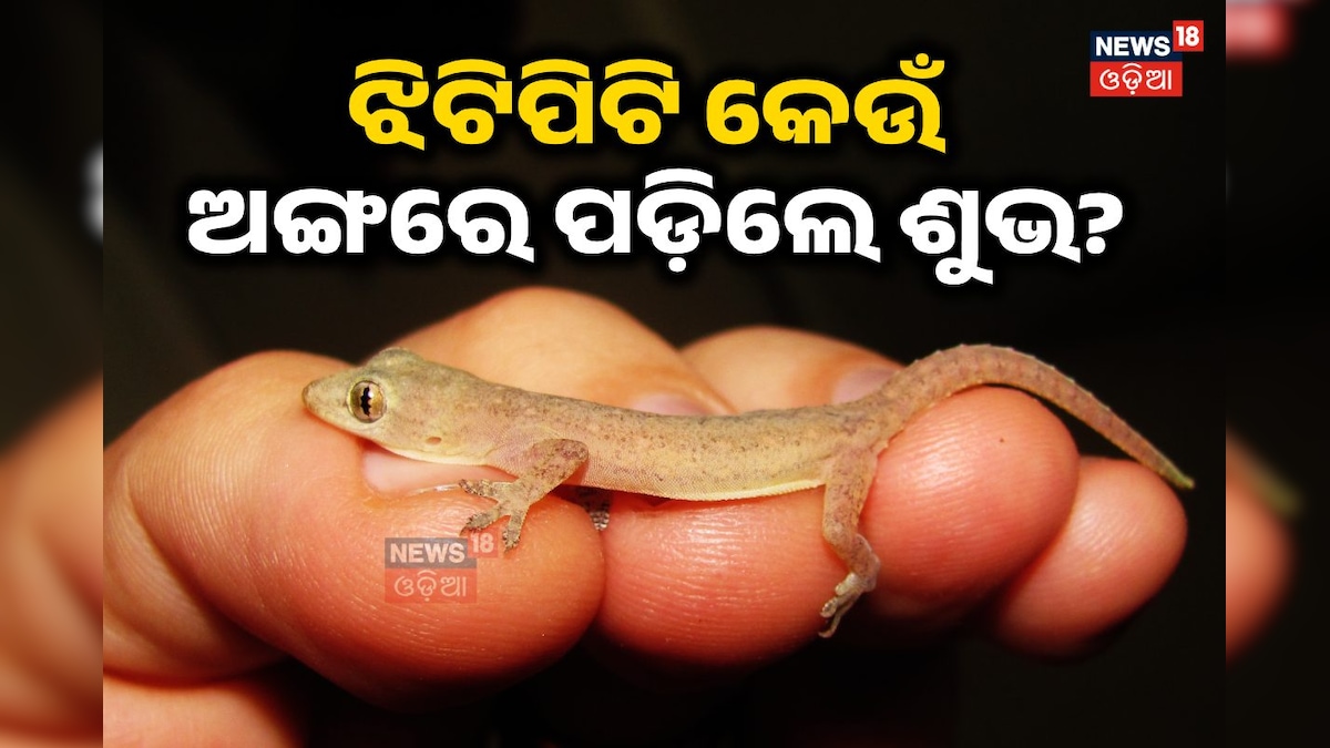 Vastu Tips: ଶରୀରର କେଉଁ ଅଙ୍ଗରେ ଝିଟିପିଟି ପଡ଼ିଲେ ଶୁଭ; ଆଉ କେଉଁଠି ପଡ଼ିଲେ ...