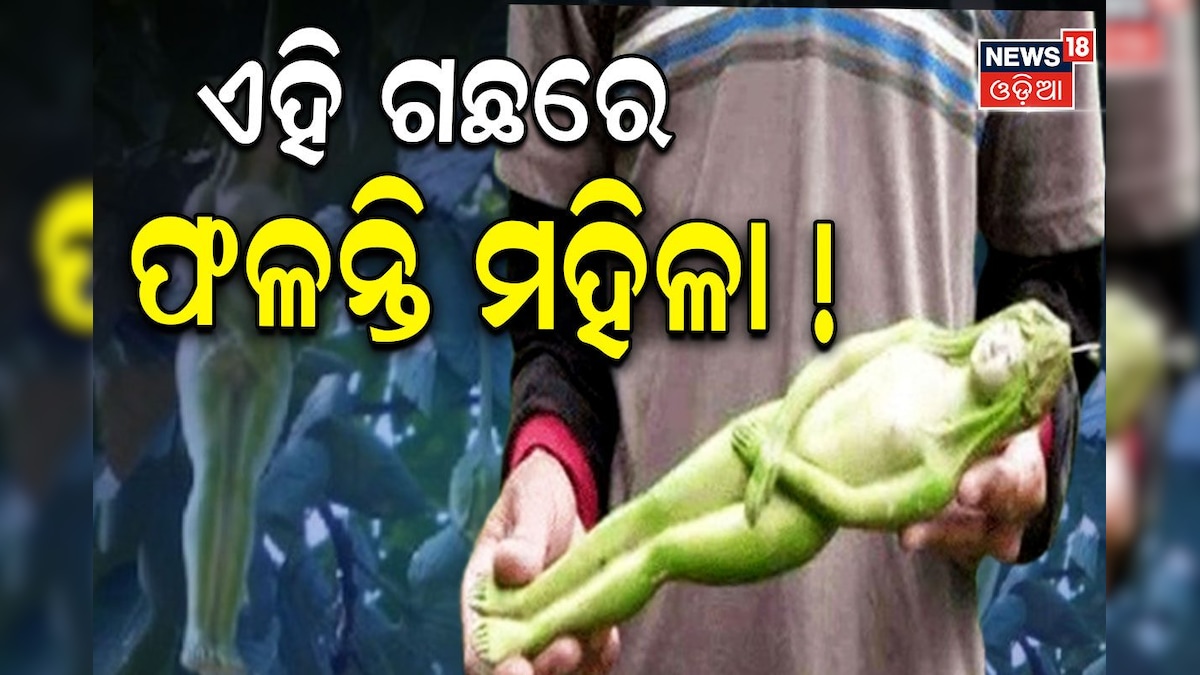 ଏମିତି ଏକ ଗଛ, ଯେଉଁଥିରେ ଫଳନ୍ତି ଝିଅ! ଫଟୋ ଦେଖିଲେ ହିଁ ଆପଣ ବିଶ୍ୱାସ କରିବେ ...