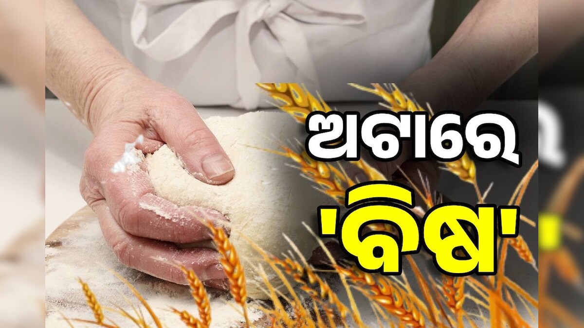 ଅଟାରେ ମିଶିଗଲେ ଏହି ଗୋଟିଏ ଜିନିଷ ଚାଲିଯିବ ଜୀବନ! ରୁଟି ତିଆରି ଆଗରୁ ଚେକ କରନ୍ତୁ ...