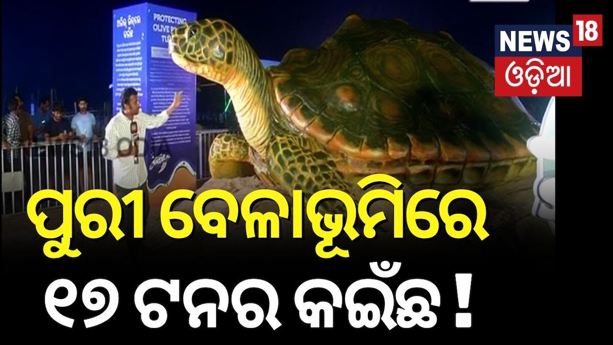 ପୁରୀ ବେଳା ଭୂମିରେ ୧୭ ଟନର କଇଁଛ, ଦେଖନ୍ତୁ ଭିଡିଓ Save Turtle campaign Kirti ...