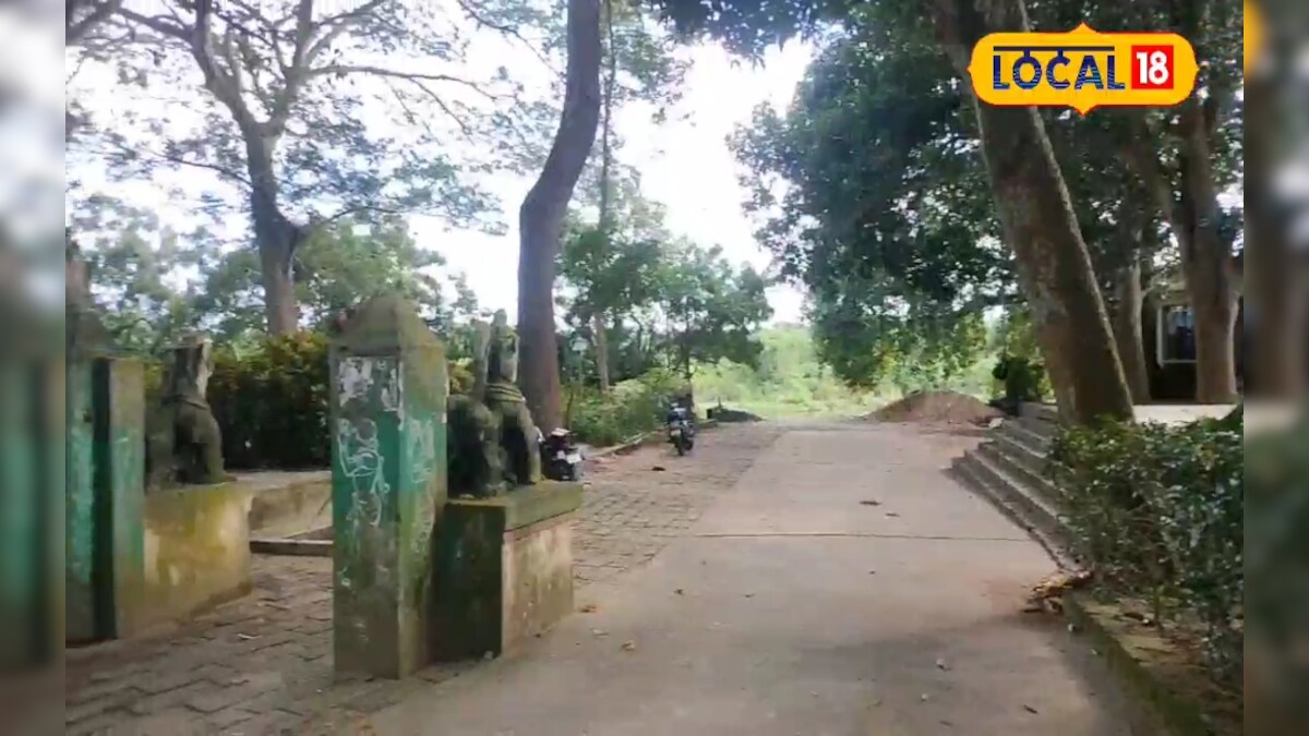 ଏଇଠି ଦାରୁର ସନ୍ଧାନ ପାଇଁ ସ୍ଵପ୍ନ ଦେଖନ୍ତି ଦଇତାପତି, ଜାଣନ୍ତୁ ଏହା ପରେ କଣ ହୁଏ ...