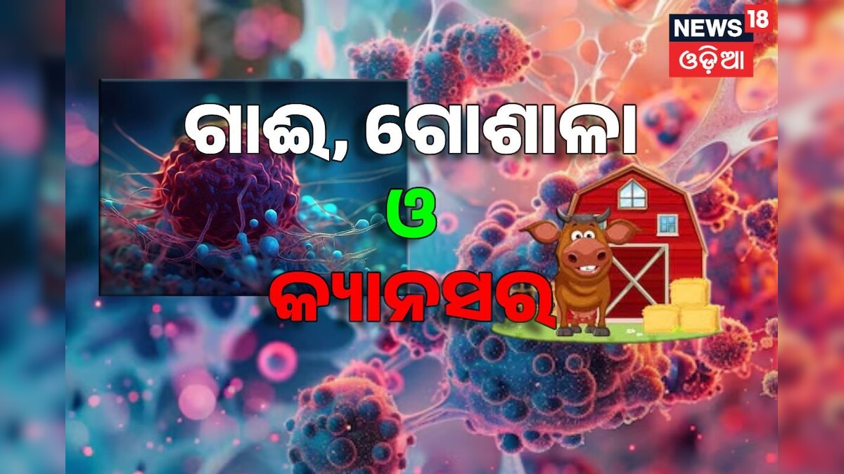 Health Tips: ଗାଈ ଓ ଗୋଶାଳା ସହ କ୍ଯାନସର କନେକ୍ସନ !......Cancer: Connection ...