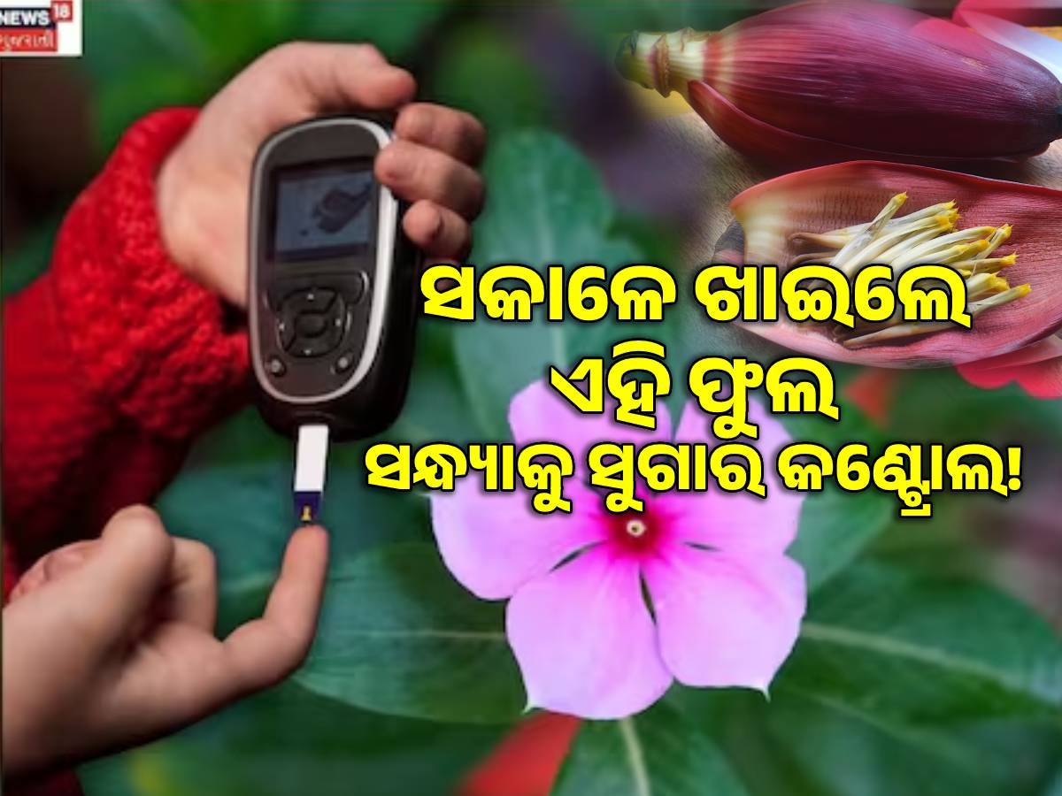 ଡାଇବେଟିସ ରୋଗୀଙ୍କ ପାଇଁ ମହୌଷଧି ଏହି ଫୁଲ! ସକାଳେ ଖାଇଲେ ସନ୍ଧ୍ୟା ସୁଦ୍ଧା ସୁଗାର ...