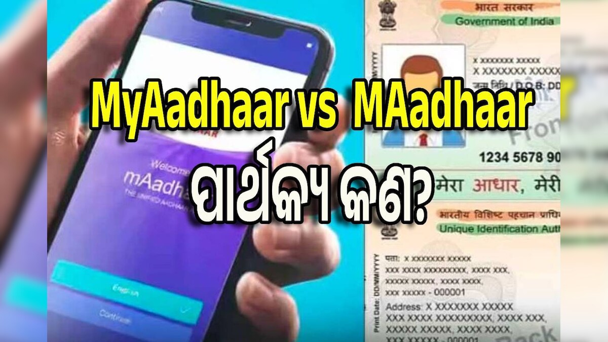 MyAadhaar vs MAadhaar: ଏହି ୨ଟି ମଧ୍ୟରେ ପାର୍ଥକ୍ୟ କଣ? MyAadhaar and ...