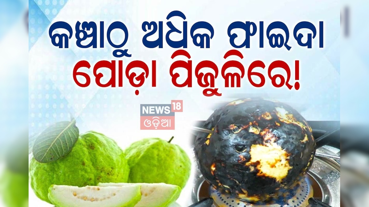 Roasted guava: ପିଜୁଳି ପୋଡ଼ିକି ଖାଇଲେ କଣ ହେବ? ୩୦ ଦିନ ଖାଇଲେ... is roasted ...