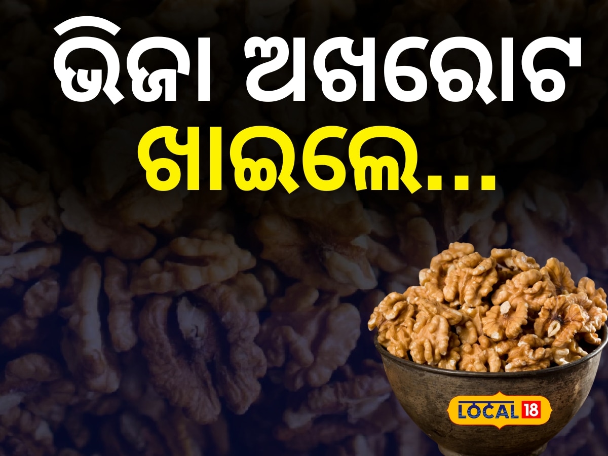 Walnut Benefits: ୧ ମାସ ଖାଆନ୍ତୁ ଭିଜା ଅଖରୋଟ୍, ଫାଇଦା ଦେଖିଲେ ହେଇଯିବେ ...