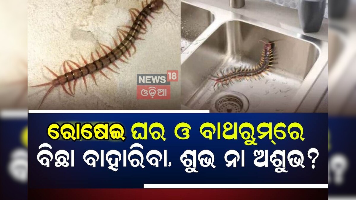 Astro Tips: ରୋଷେଇ ଘର ଓ ବାଥରୁମ୍‌ରେ ବିଛା ବାହାରିବ ଭଲ ନା ଖରାପ? ଜାଣନ୍ତୁ ...