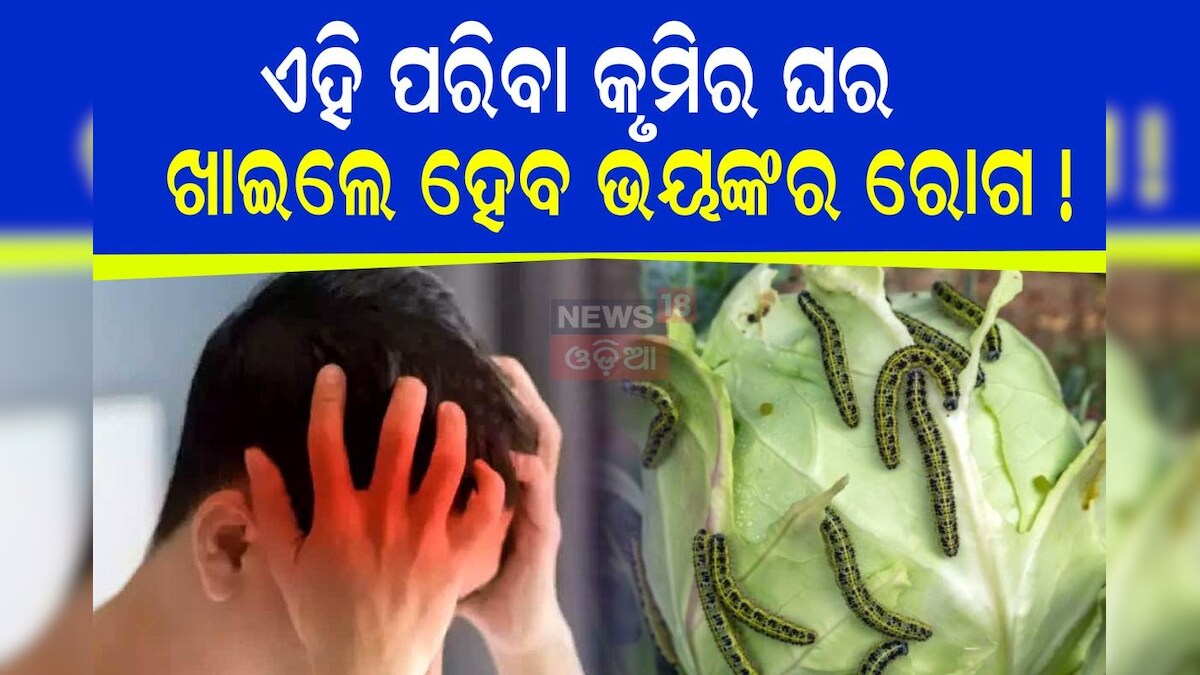 ଏହି ୬ଟି ପରିବାରେ ଟ୍ୟାପ ୱର୍ମଙ୍କ ଘର! ଖାଇଲେ ଖାଲି ହୋଇଯିବ ବ୍ରେନ! beware of ...