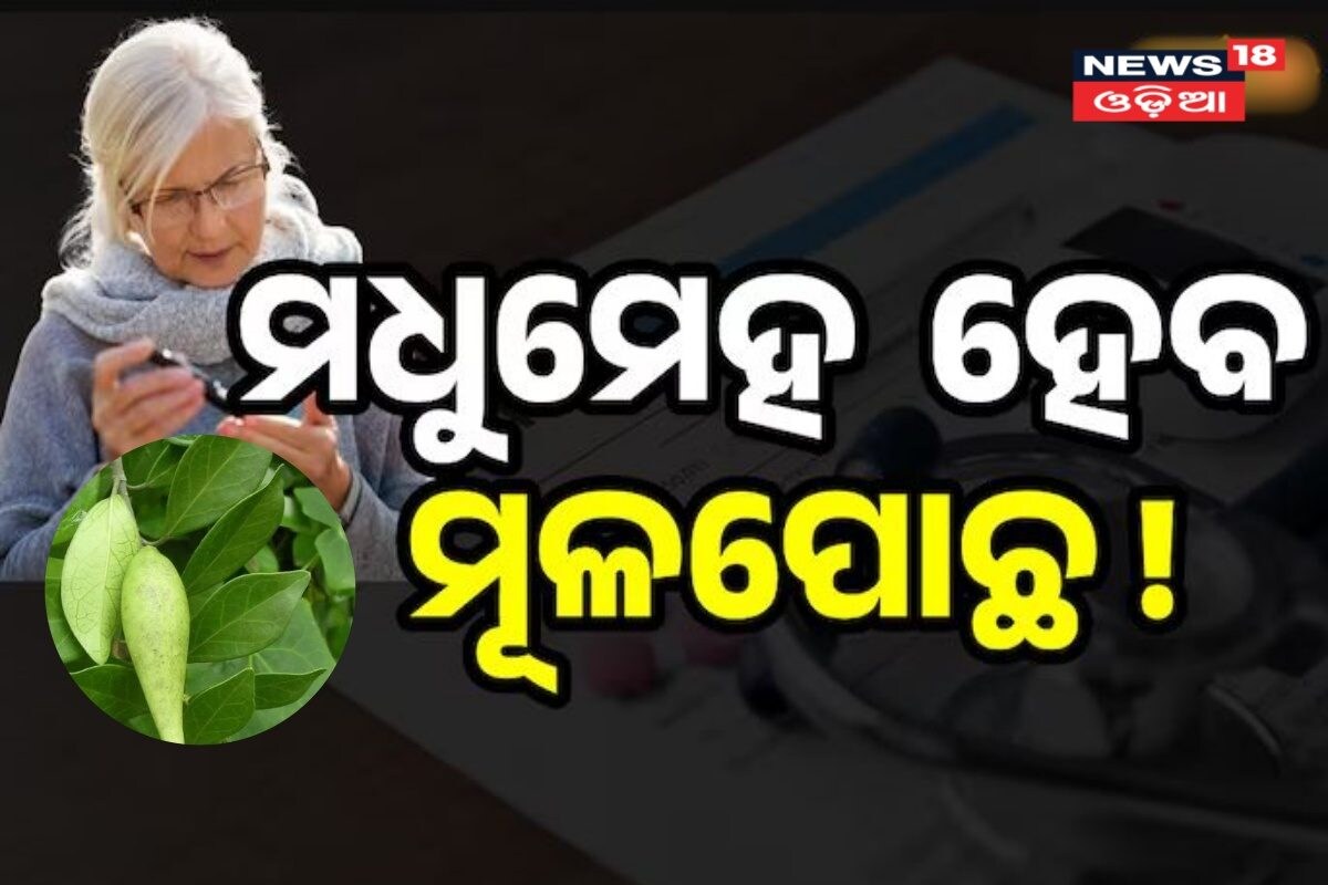 Health Tips: ମଧୁମେହ ମୂଳରୁ ହେବ ହ୍ରାସ; ବାସ ଏହି ଗଛ କରିଦେବ ଭଲ... Gudmar ...
