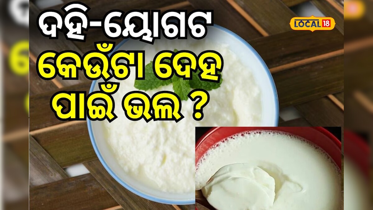 Curd vs Yogurt:ଦହି ଭଳି ଦେଖାଯାଉଥିବା ୟୋଗଟ ଖାଉଛନ୍ତି କି ? ସାବଧାନ ହୋଇପାରେ ...