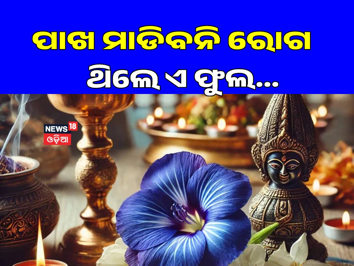 Aparajita Flower Benefits: ଘରେ ଲଗାନ୍ତୁ ଅପରାଜିତା, ଲତା ଭଳି ମାଡି ଆସିବ ଟଙ୍କା, ରହିବନି ଶନି ଦୋଷ ...