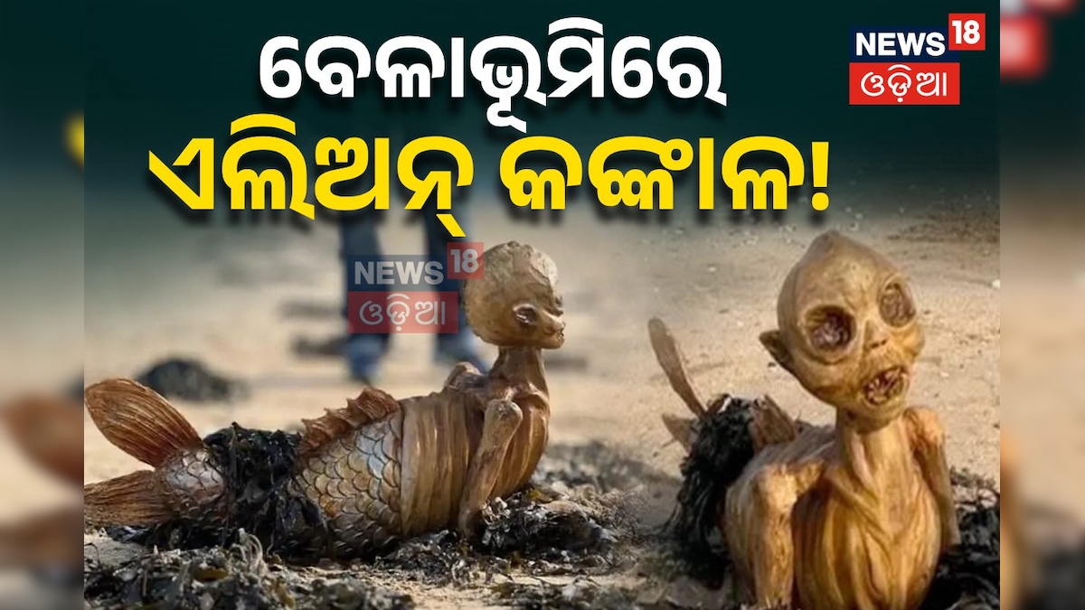 ଆଶ୍ଚର୍ଯ୍ୟ! ସମୁଦ୍ର ବେଳାଭୂମିରେ ହଠାତ୍ କେଉଁଠୁ ଆସିଲା ଏଲିଅନର କଙ୍କାଳ? ସୋସିଆଲ ମିଡିଆରେ ଫଟୋ ଭାଇରାଲ୍ ...