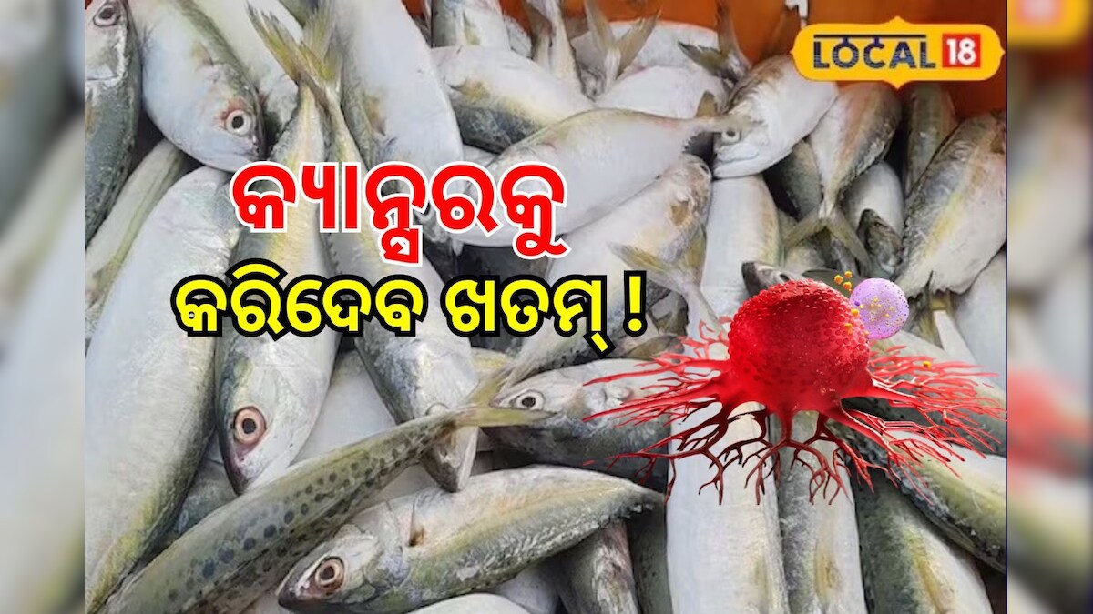 Fish: ମାଛ ନୁହେଁ 'ମହୌଷଧି'! ଖାଇଲେ ଭଲ ହୋଇଯିବ କ୍ୟାନ୍ସର ! ଜାଣନ୍ତୁ... this ...