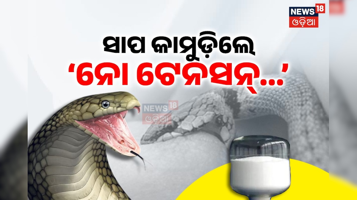 Snake Bite: ସାପ କାମୁଡିଲେ ପ୍ରଥମ କାମ କଣ? ଜାଣିଥାନ୍ତୁ, କେବେ ନା କେବେ କାମରେ ...