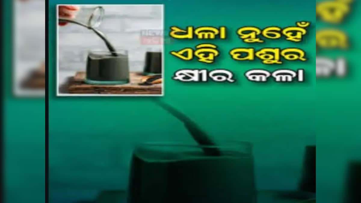 General Knowledge:ଏହି ପଶୁର କ୍ଷୀର କଳା ! ନାଁ ଜାଣିଲେ... gk only one animal produces black milk ...