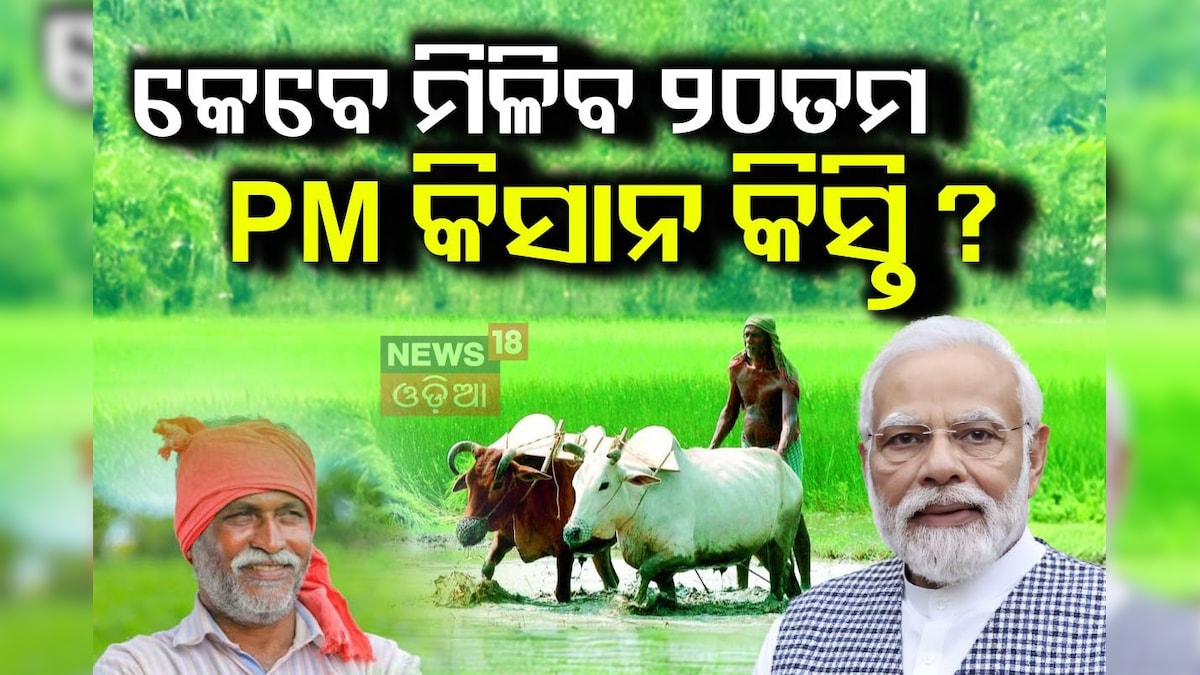 PM Kisan Update: ଆଜି ବି ଆସିଲାନି ପିଏମ କିସାନ ଟଙ୍କା? କେବେ ମିିଳିବ ଜାଣନ୍ତୁ ...