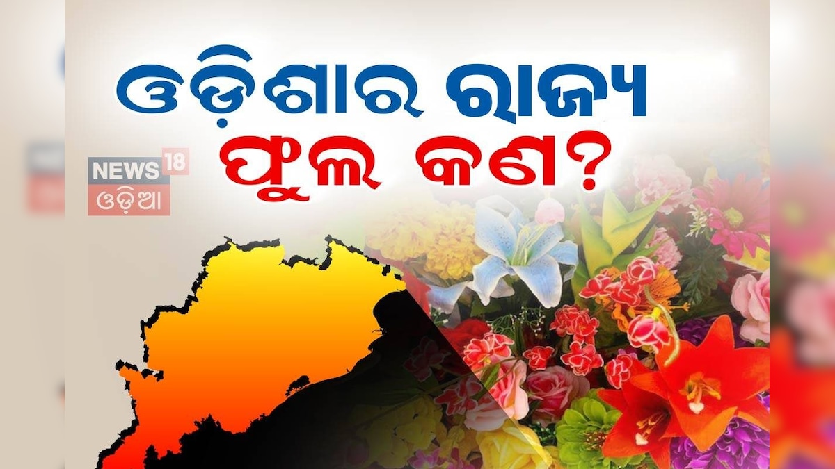 Knowledge Story: ଜାଣିଛନ୍ତି କି, ଓଡ଼ିଶାର ରାଜ୍ୟ ଫୁଲ ନାମ କଣ? ଘରେ ହୋଇଥିଲେ ବି ...
