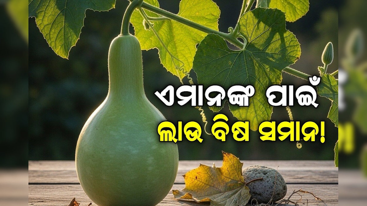 Bottle Gourd: ଲାଉ ଏମାନଙ୍କୁ ଖାଇବା ମନା; ଖାଇଲେ ଭୋଗିବେ...ଯେତେ ଦୂରରେ ରହିବେ ...