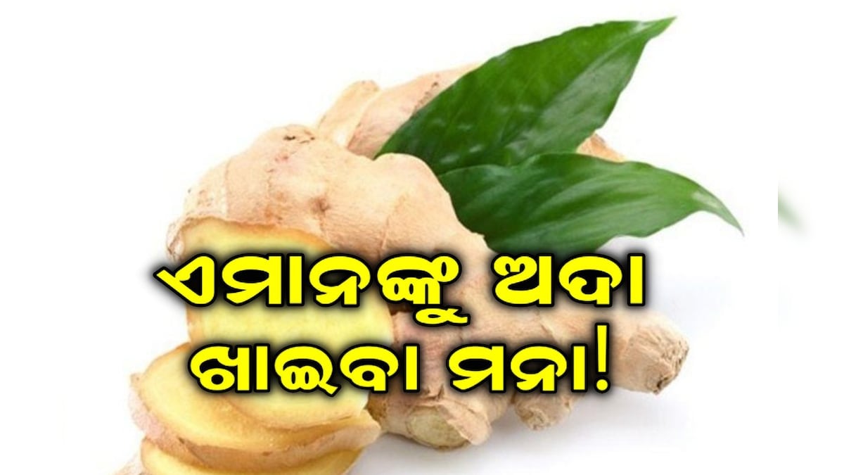 Ginger Side Effect: ଅଦା ଏମାନଙ୍କୁ ଖାଇବା ମନା! ଖାଇଲେ ଭୋଗିବାକୁ ପଡ଼ିବ ...