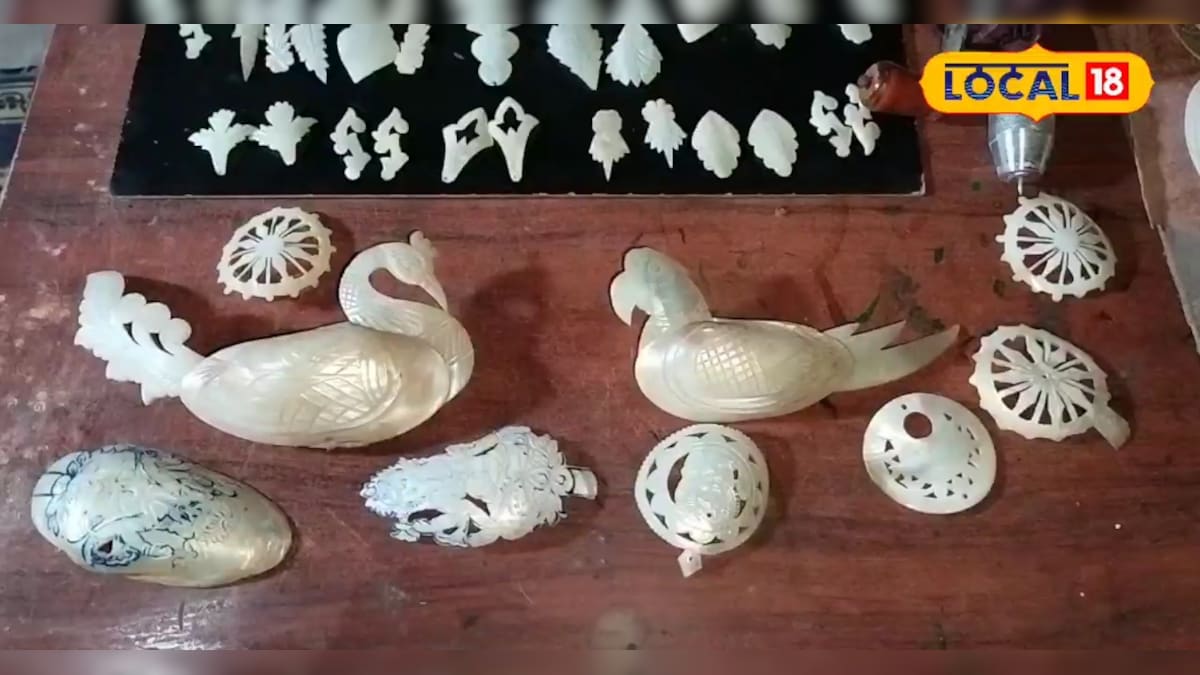 ଶାମୁକା କଳାରେ ରାଷ୍ଟ୍ରୀୟ ପୁରସ୍କାର, ତାଆରି କରୁଛନ୍ତି... National Award in ...