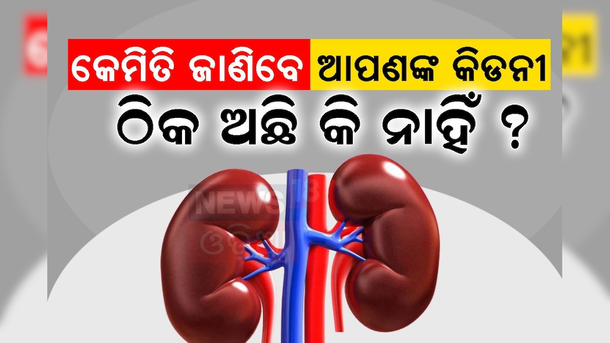 Kidney Health: କେମିତି ଜାଣିବେ ଆପଣଙ୍କ କିଡନୀ ଠିକ ଅଛି କି ନାହିଁ? ଏହି ଲକ୍ଷଣ ...