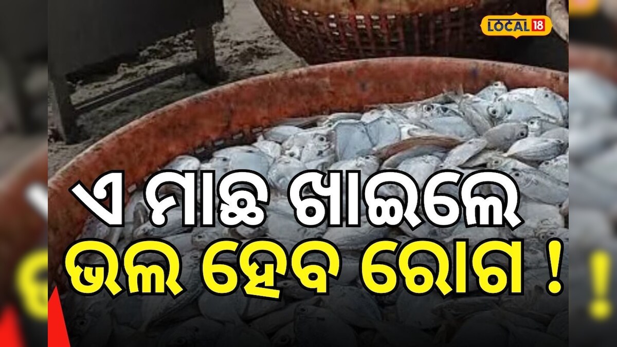 ଏ ମାଛ ଭଲ କରିଦେବ ଅନେକ ରୋଗ ! ଜାଣନ୍ତୁ ଏହାର ଉପକାରୀତା... Fish is the most ...
