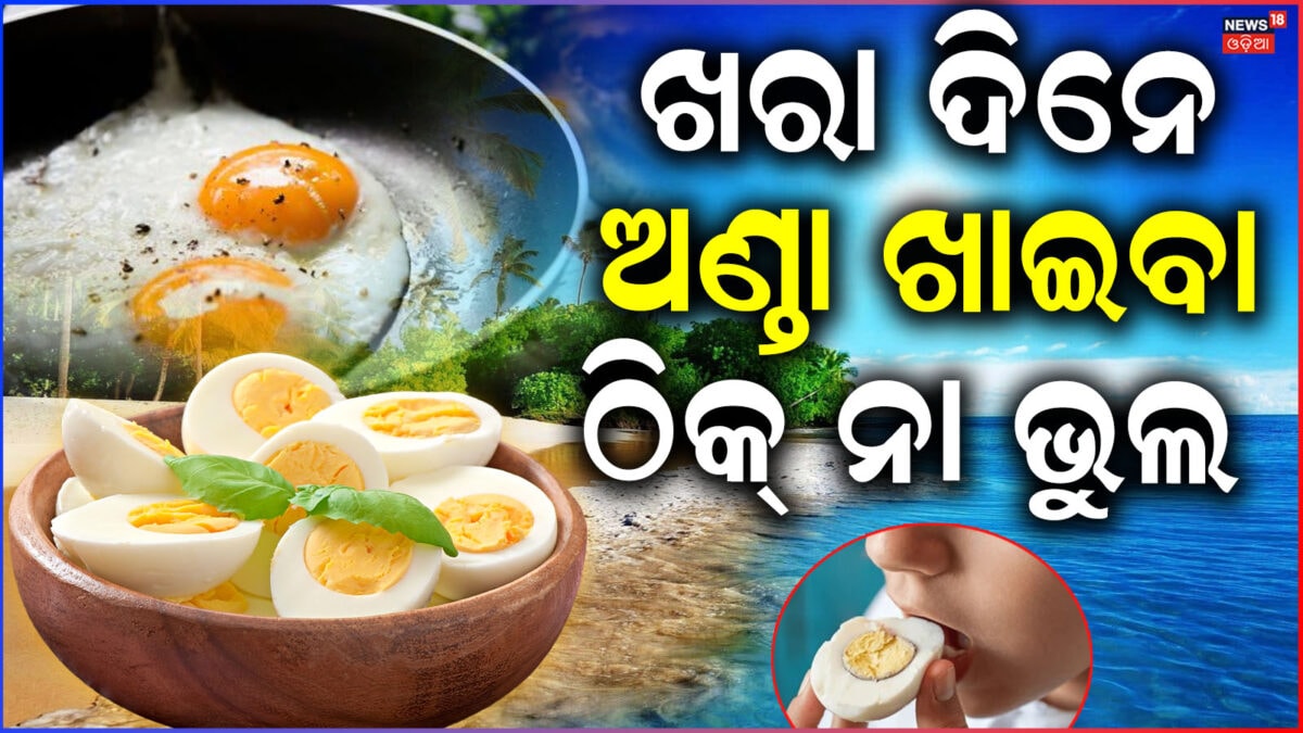 Eggs In Summer: ଖରାଦିନେ ଅଣ୍ତା ଖାଉଛନ୍ତି କି? ଜାଣି ନିଅନ୍ତୁ ଖାଇବା ଠିକ୍ ନା ...