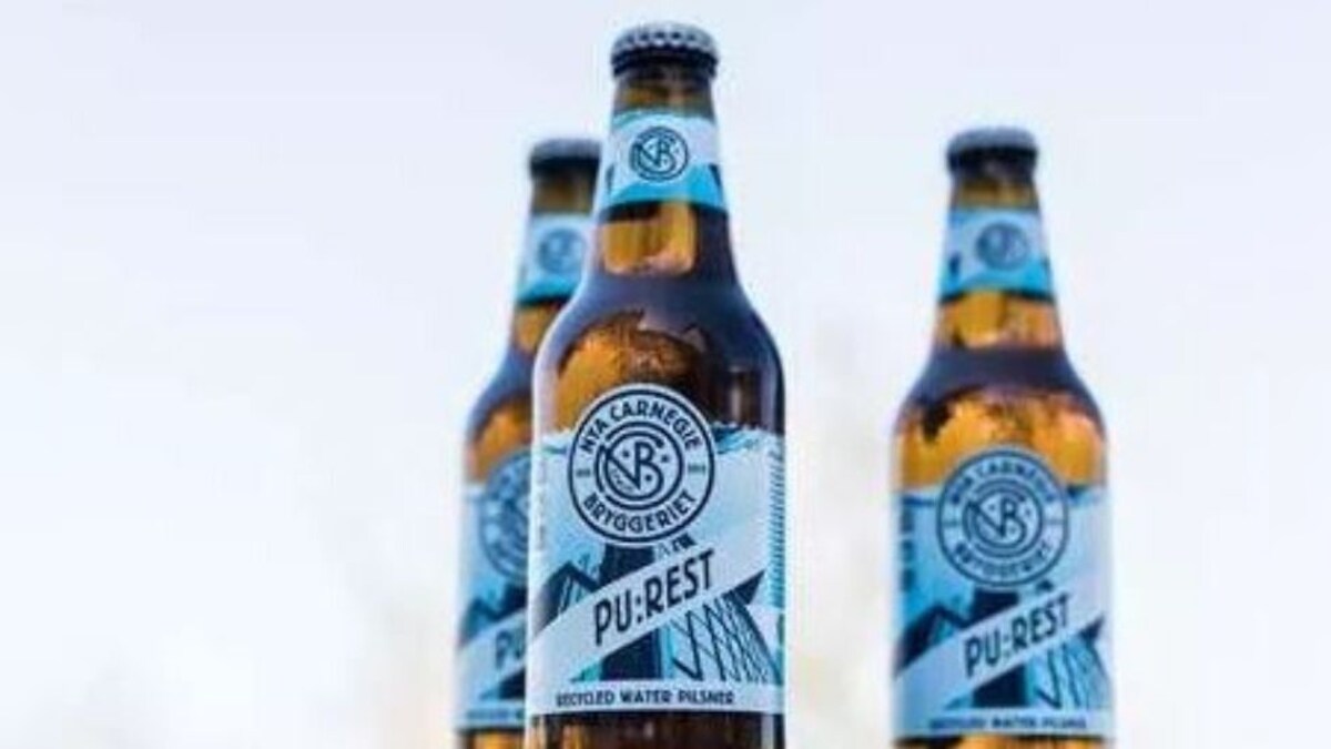 ਨਾਲੇ ਦੇ ਪਾਣੀ ਨਾਲ ਬਣਾਈ ਪਹਿਲੀ ਬੀਅਰ PU:REST – News18 ਪੰਜਾਬੀ