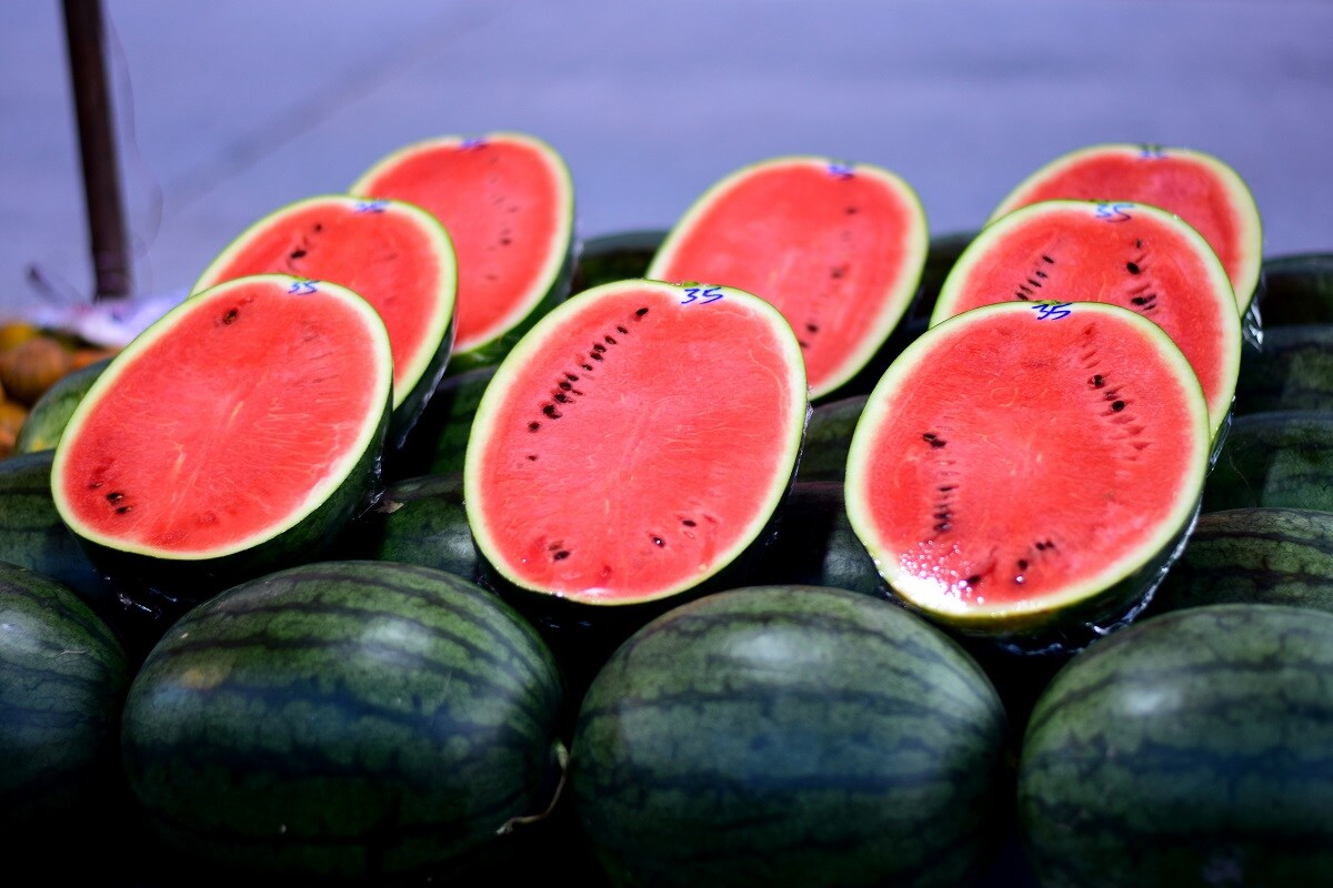 ਸਭ ਤੋਂ ਪਹਿਲਾਂ ਕਿੱਥੇ ਪੈਦਾ ਹੋਏ ਤਰਬੂਜ, ਨਵੀਂ ਖੋਜ ਨੇ ਤੋੜੀ ਦਹਾਕਿਆਂ ਪੁਰਾਣੀ ...