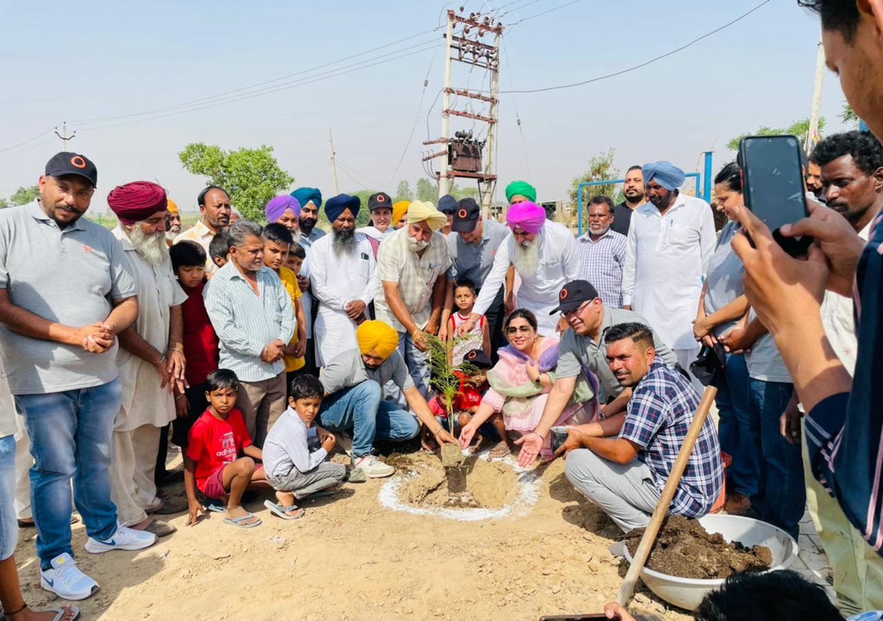 ਰਾਊਂਡ ਗਲਾਸ ਫਾਊਡੇਸ਼ਨ ਨੇ ਸਰਸੀਣੀ 'ਚ 250 ਪੌਦੇ ਲਗਾਏ The Round Glass ...