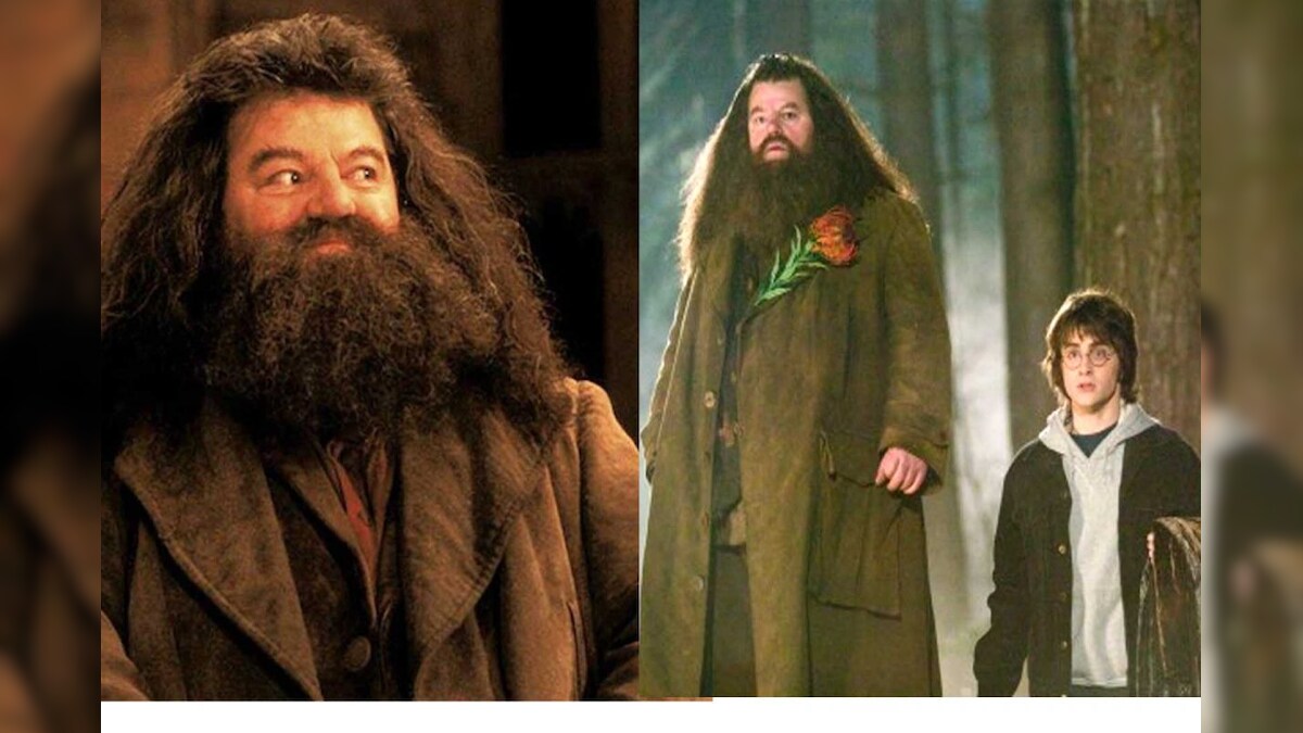 Hagrid No More: ਹੈਰੀ ਪੋਟਰ ਦੇ 'Hagrid' ਦੁਨੀਆਂ ਤੋਂ ਹੋਏ ਰੁਖਸਤ, ਕੁਝ ਦਿਨਾਂ ...