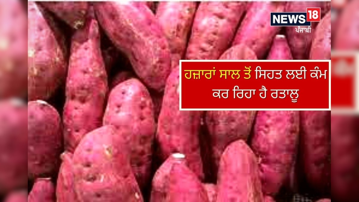 Benefits Of Ratalu Yam ਸਦੀਆਂ ਤੋਂ ਸਿਹਤ ਲਈ ਕੰਮ ਕਰ ਰਿਹਾ ਹੈ ਰਤਾਲੂ – News18 ...