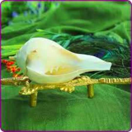 Benefits of shankhnadh the shankh or the conch shell as I know is a ...