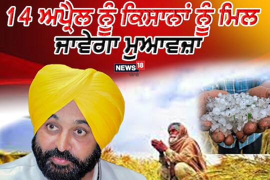 14 ਅਪ੍ਰੈਲ ਨੂੰ ਕਿਸਾਨਾਂ ਨੂੰ ਮਿਲ ਜਾਵੇਗਾ ਮੁਆਵਜ਼ਾ : CM Bhagwant Mann ...