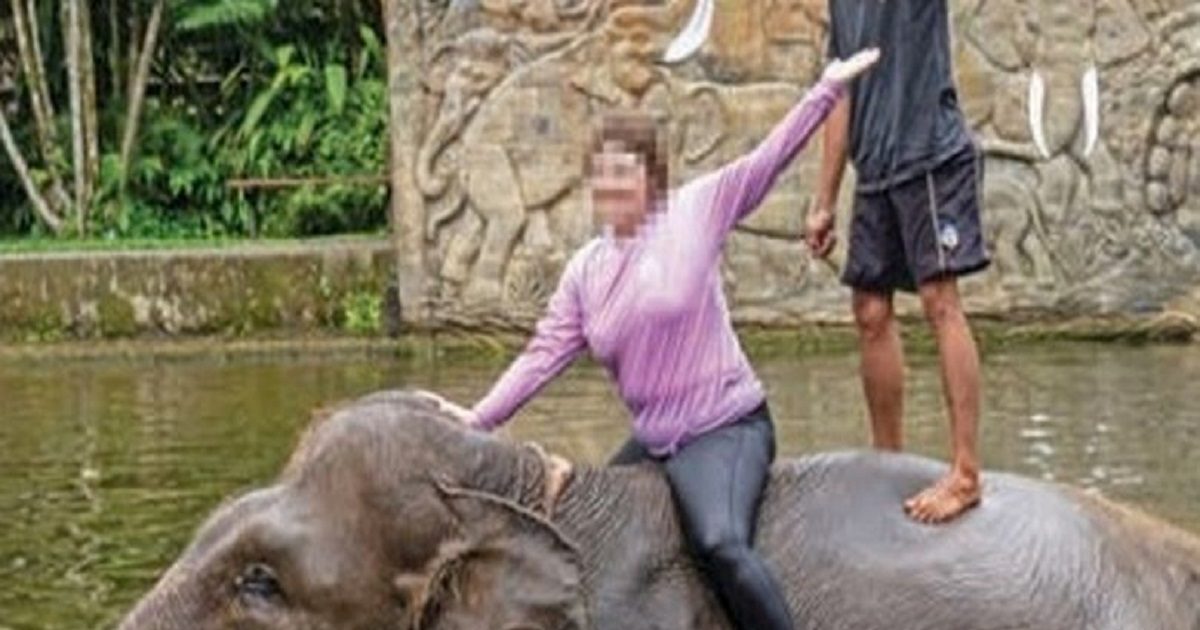 These photos of animal cruelty taken secretly in the zoo,ਜਾਨਵਰਾਂ 'ਤੇ ...