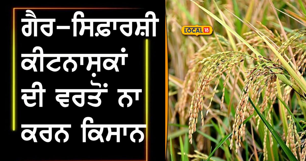 Gurdaspur News: ਖੇਤੀਬਾੜੀ ਅਫ਼ਸਰ ਨੇ ਕਿਸਾਨਾਂ ਨਾਲ ਸਾਂਝੀ ਕੀਤੀ ਵਿਸ਼ੇਸ਼ ...