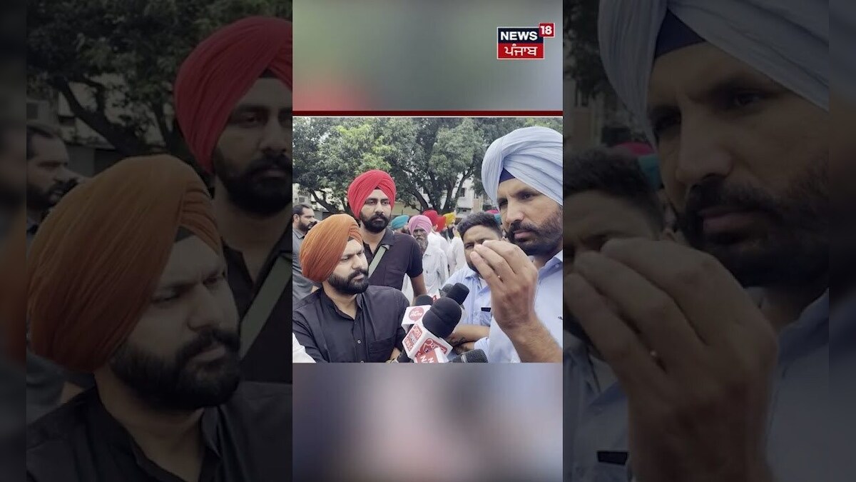 Punjab News | Kulbir Singh Zira ਦੀ ਗ੍ਰਿਫਤਾਰੀ ਤੇ ਦੇਖੋ ਕੀ ਬੋਲੇ Raja Warring |#shorts | N18S