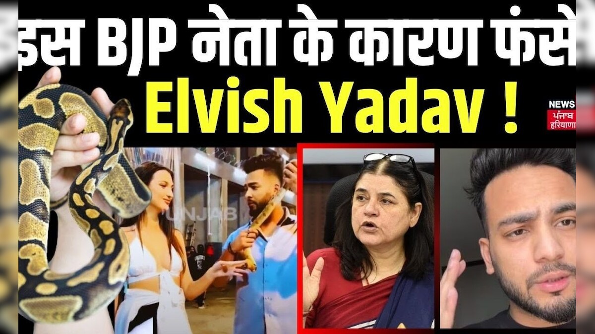 Snake Bite Drug Addiction | इस BJP नेता के कारण फंसे Elvish Yadav ! | Rave Party | N18V