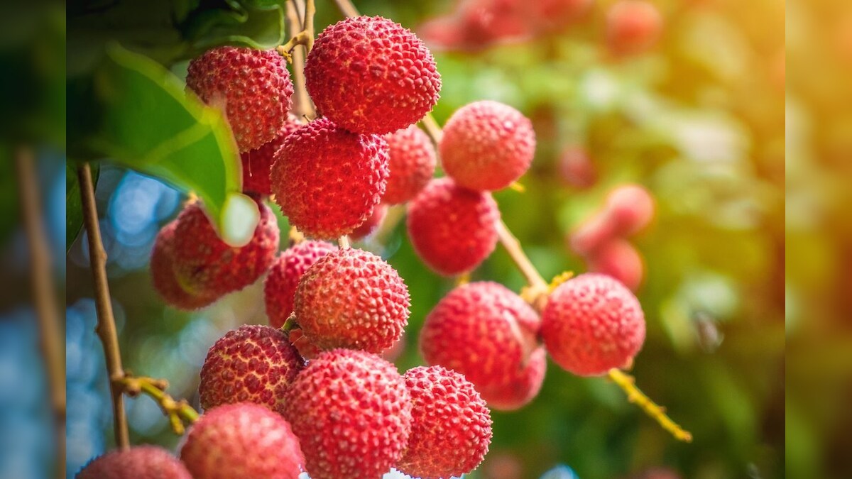 fruits health tips dangerous poisonous effect think before consuming ...