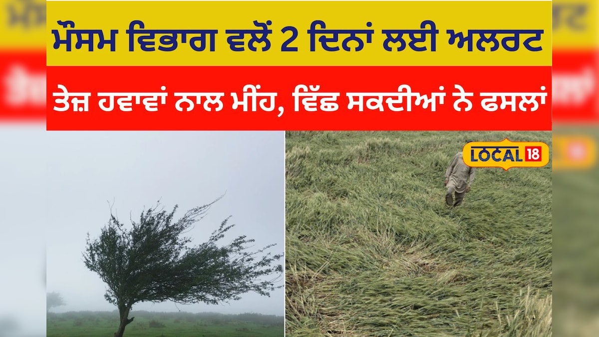 Warning for Farmers from Weather Department crops may be damaged due to ...