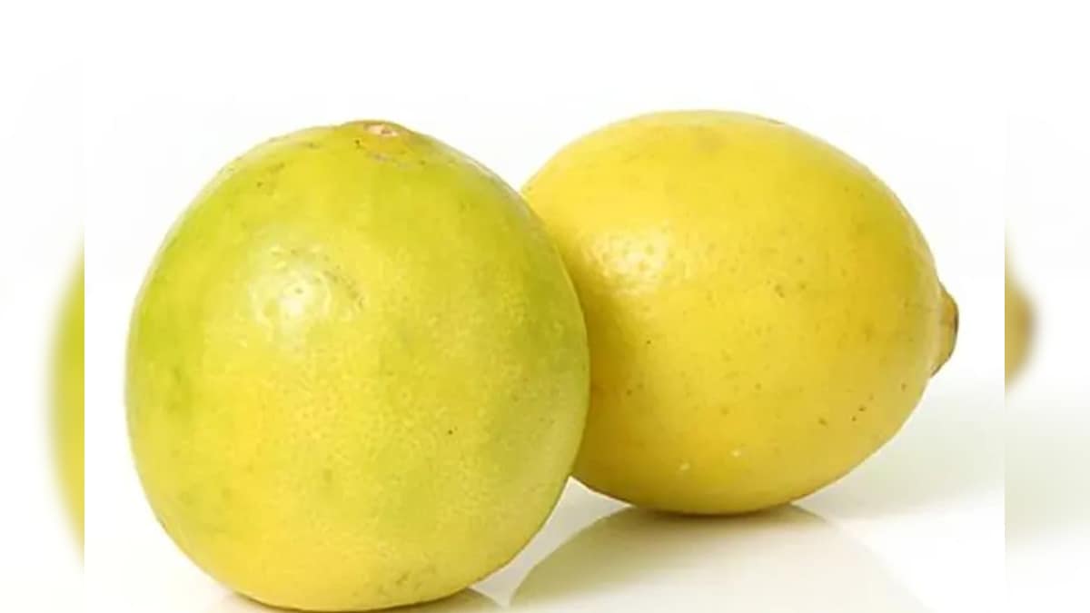 35 ਹਜ਼ਾਰ ਰੁਪਏ ’ਚ ਵਿਕਿਆ ਇਕ ਨਿੰਬੂ Lemon, lemon farming, Lemon Rates ...