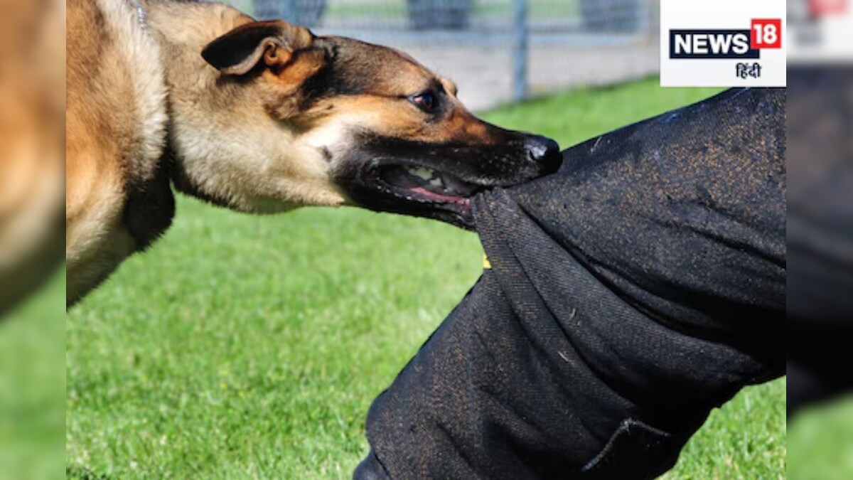 ਕੁੱਤੇ ਦੇ ਕੱਟਣ ਪਿੱਛੇ ਵੀ ਹੁੰਦਾ ਹੈ ਗ੍ਰਹਿਆਂ ਦਾ ਹੱਥ, ਜੋਤਿਸ਼ ਤੋਂ ਜਾਣੋ ਕਾਰਨ ...